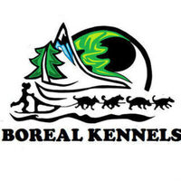 Guide/manager Job at Boreal Kennels in Carcross, Canada | YuWIN